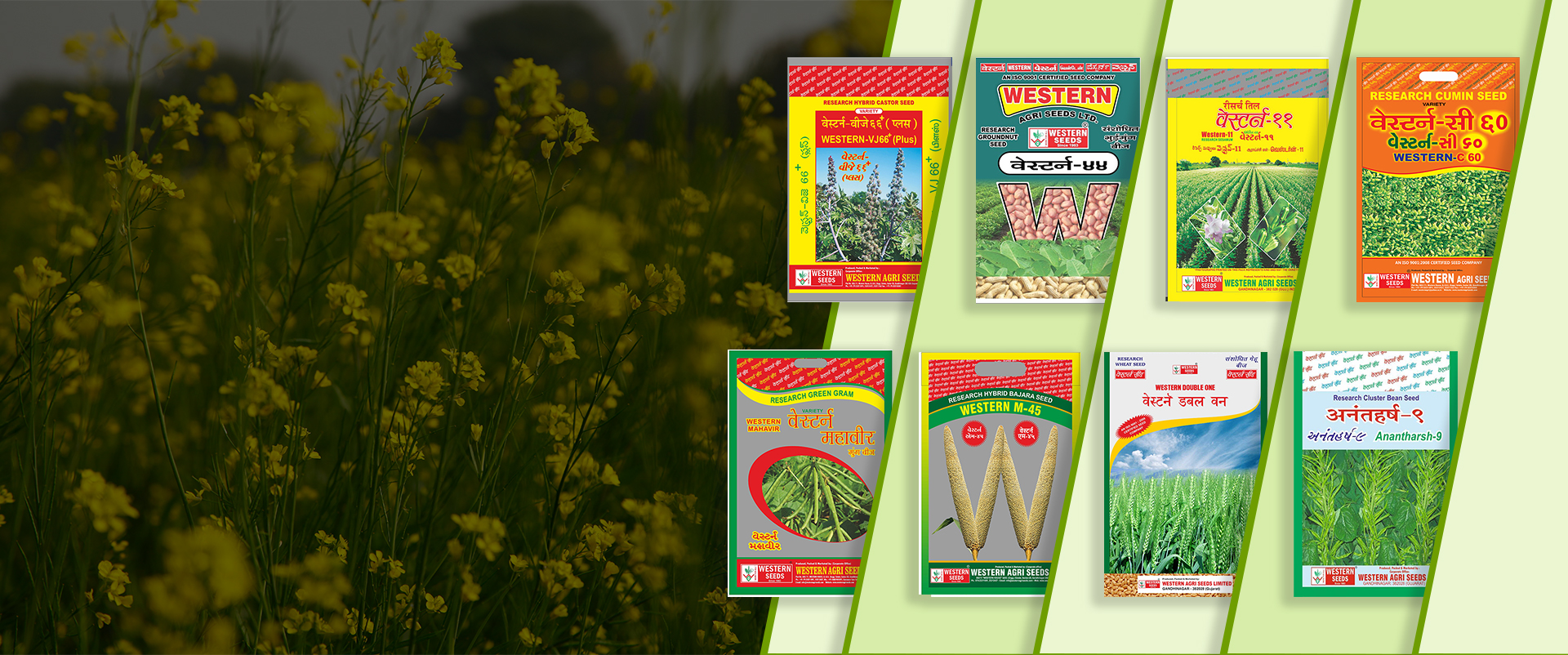 WesternAgriSeeds Ltd – WesternAgriSeeds Ltd