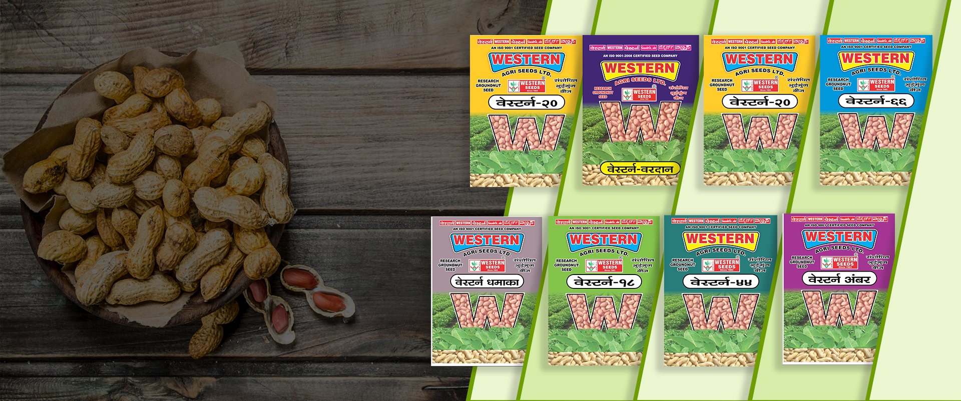 WesternAgriSeeds Ltd – WesternAgriSeeds Ltd